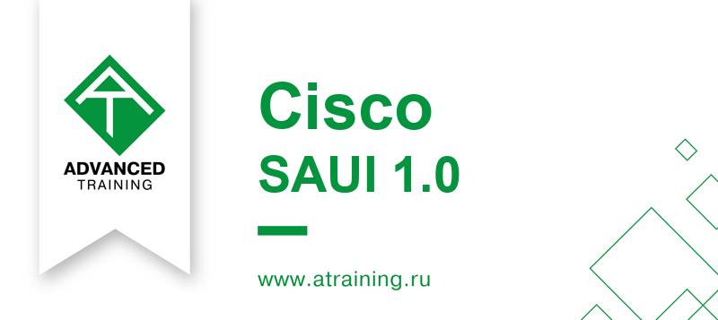 Курс Cisco SAUI 1.0 - Implementing Automation for Cisco Security Solutions Курс Cisco SAUI 1.0 - Implementing Automation for Cisco Security Solutions
